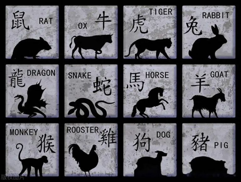 How the 12 Chinese Zodiac Animals Match the 12 Traditional Hours ...
