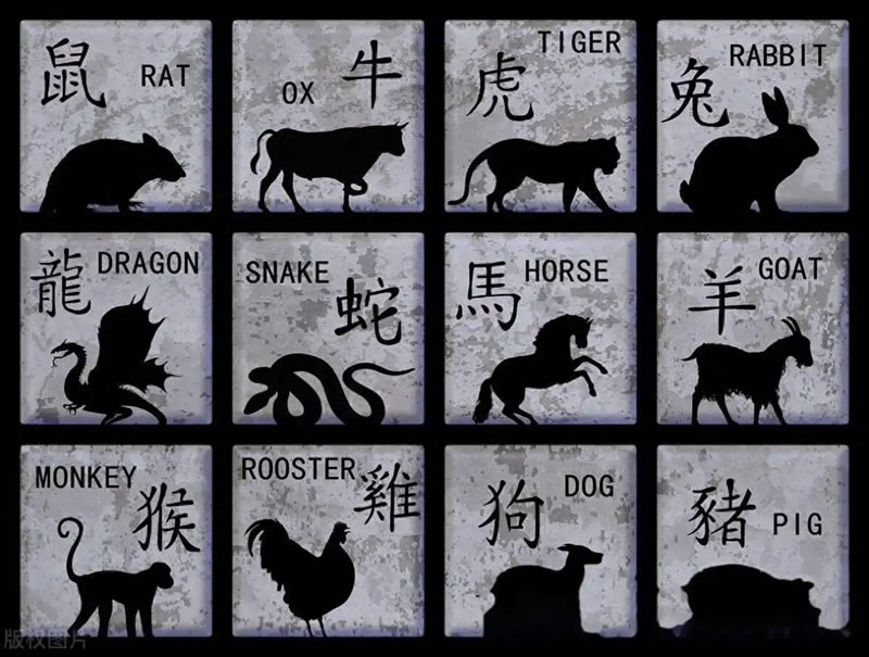 How the 12 Chinese Zodiac Animals Match the 12 Traditional Hours ...